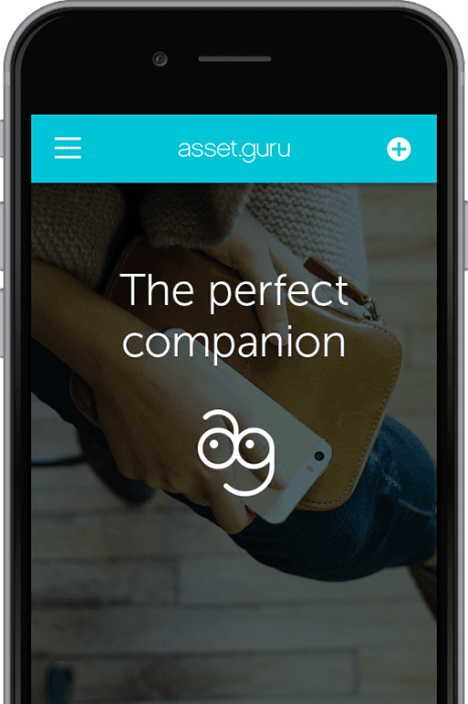 Software System Integrations - Asset Guru